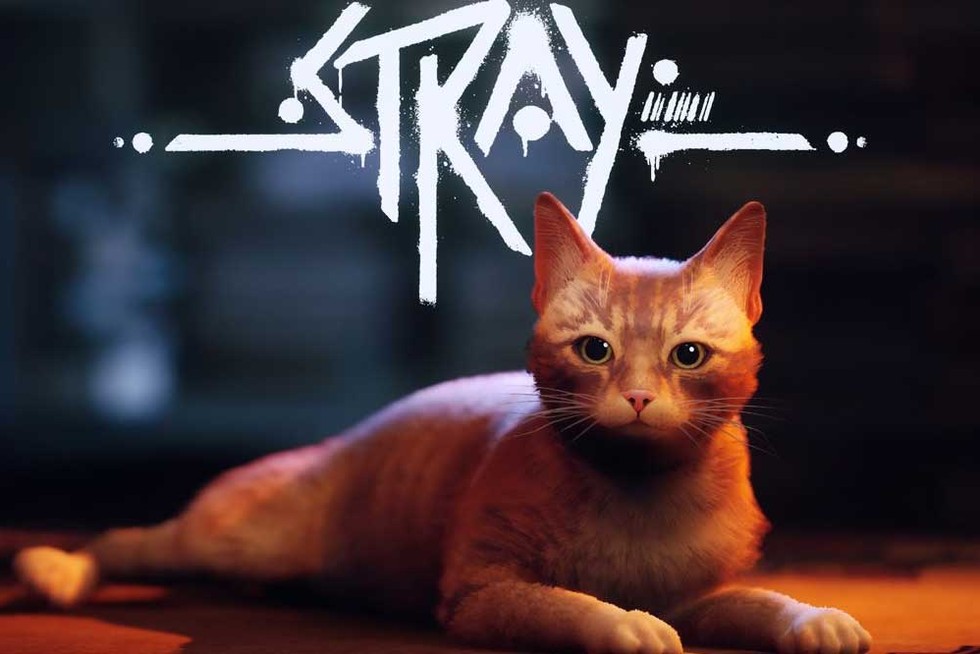 Stray – играть бесплатно, обзор онлайн-игры и отзывы